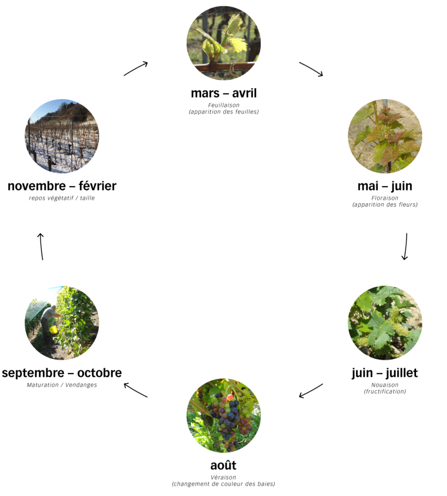 Domaine de Chambaz